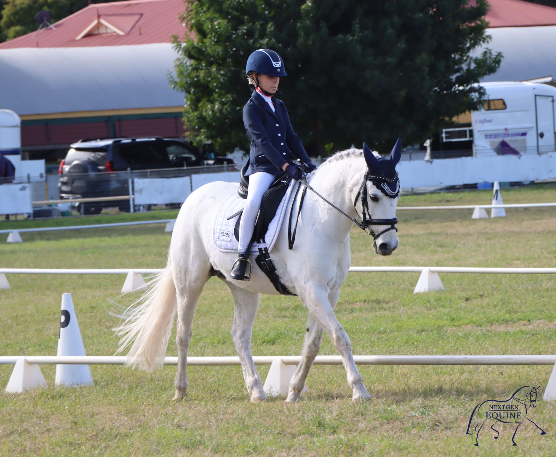 Mistie Arizona & Emily Farthing @ Singleton Dressage - NextGen Equine